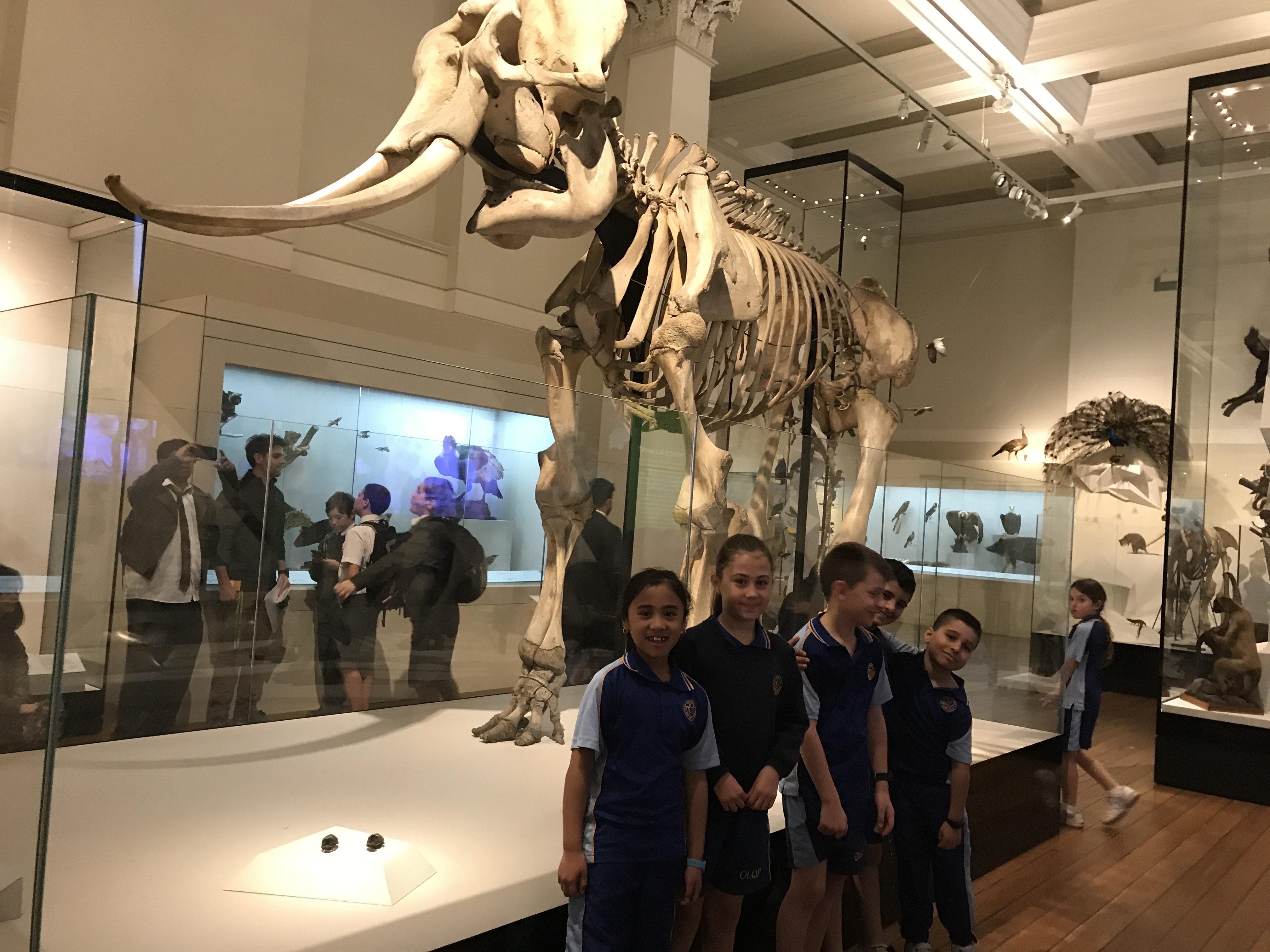 Year 3 Excursion to the Australian Museum | OLQP Greystanes